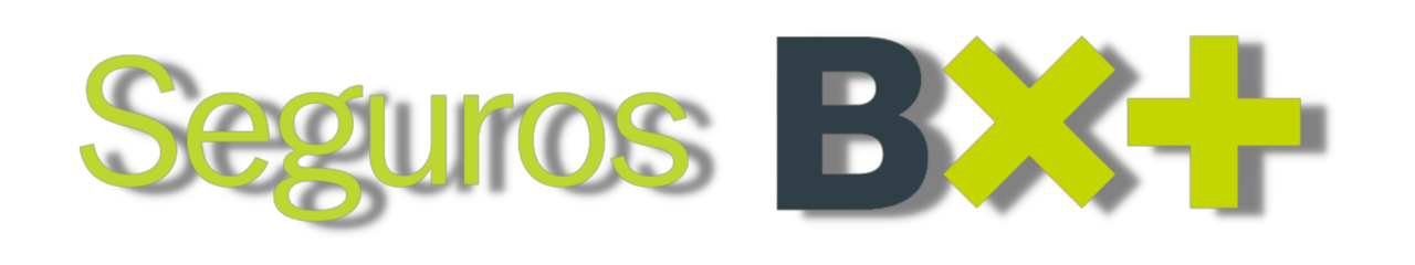 Seguros B Promotor De Agentes De Seguros élite Seguros